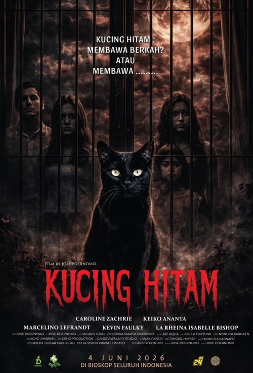 Jadwal Film Kucing Hitam 2026